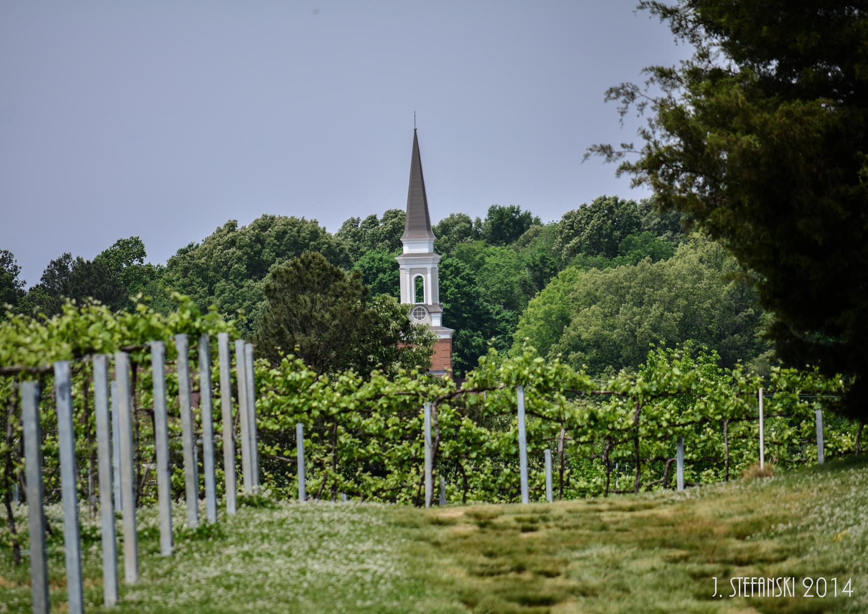 Central Region | Tennessee Association of Agricultural Agents and ...